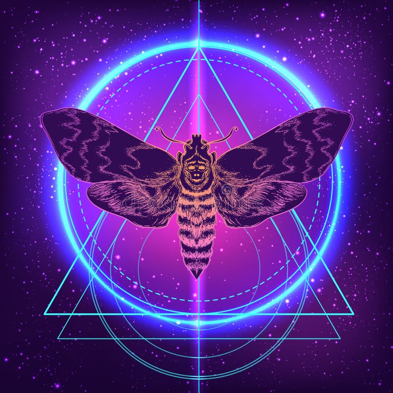 Moth Over Mandala. Beautiful Vintage Round Pattern. Vector Illustration ...