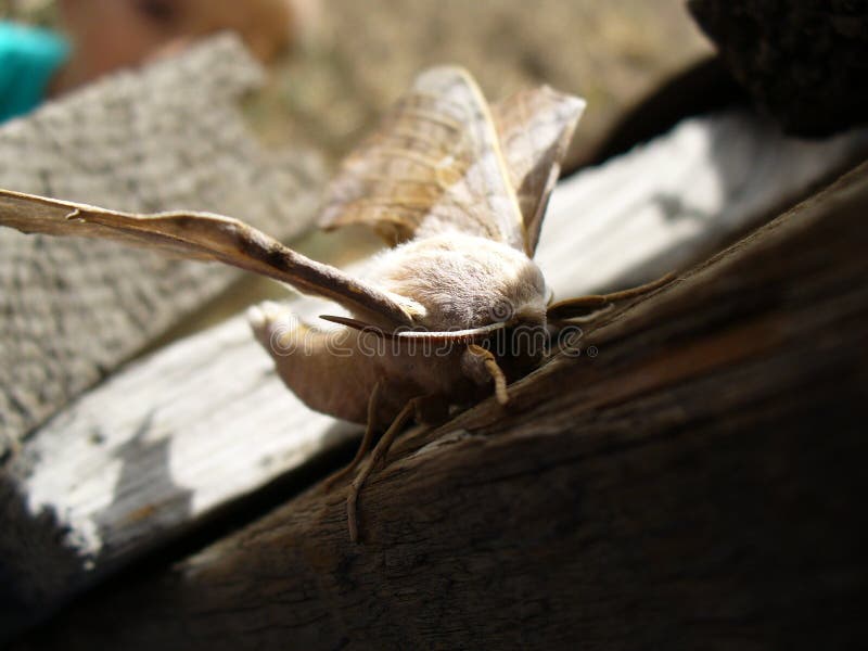 Alex143e - Photographer profile