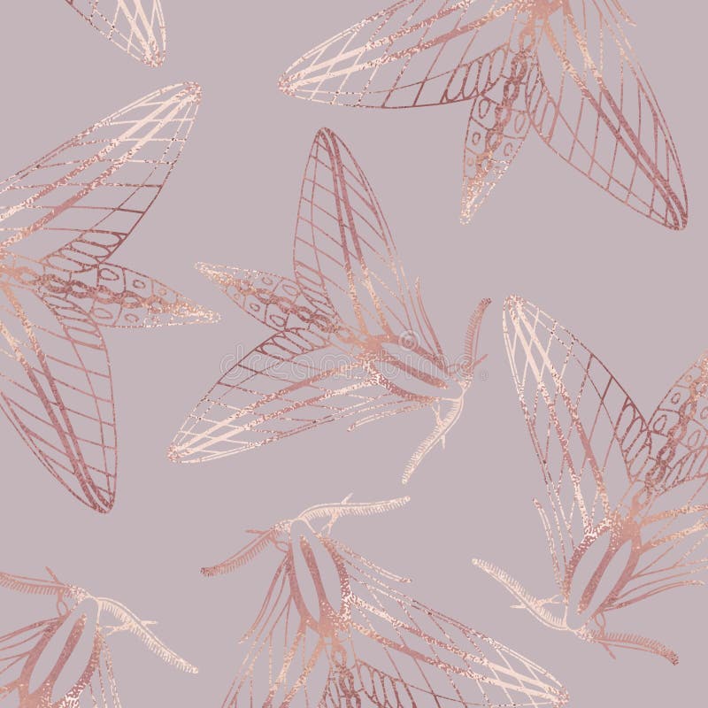 Moth. Rose gold stock vector. Illustration of effect - 133962909