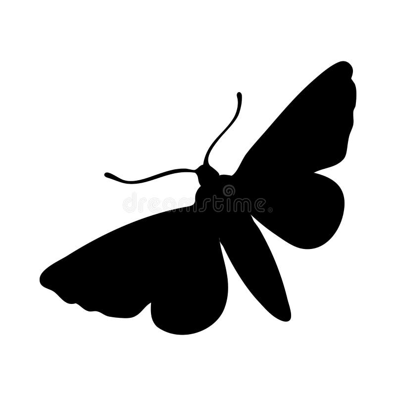 Moth Silhouette stock vector. Illustration of nocturnal - 264352347