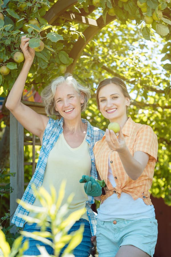 Mother and Adult Daughter Checking Apples in Tree Stock Image - Image ...