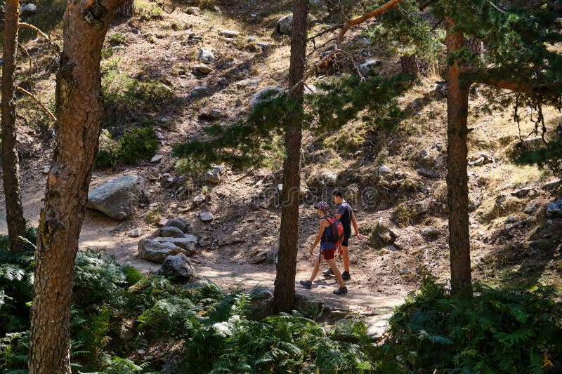 Mother Exploring Nature with Her Son by Showing Him the Plants Stock ...