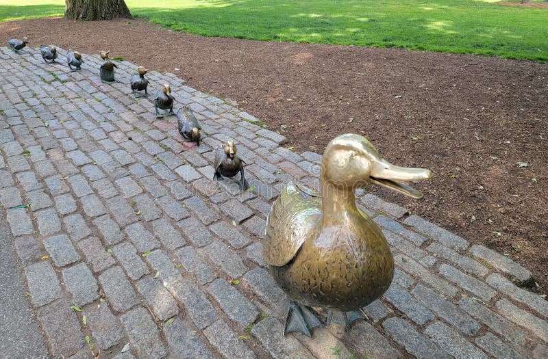 Mother Duck and Ducklings Statue in Boston Commons Editorial Stock ...