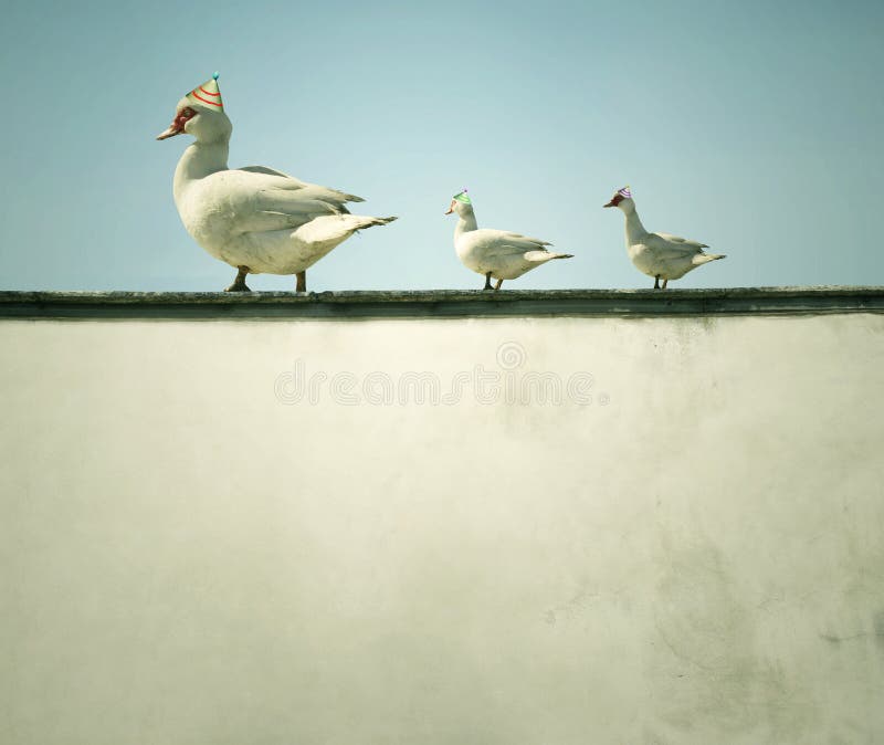 Single file stock vector. Illustration of diversity, connection - 342897