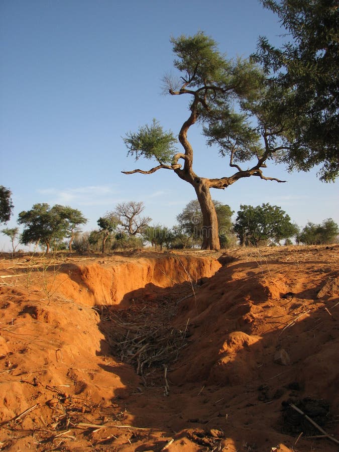 Mother Earth stock photo. Image of mali, environment - 10778110