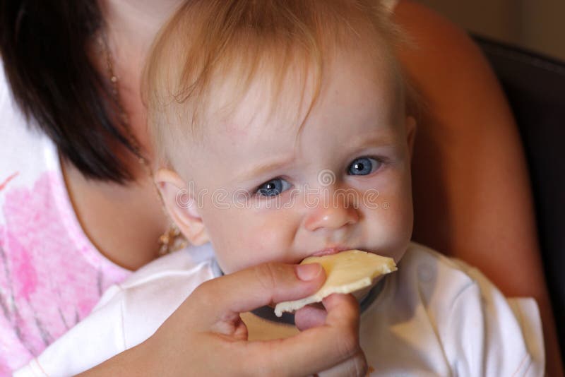 Baby eat stock image. Image of lunch, dummy, kitchen, chef - 3455843