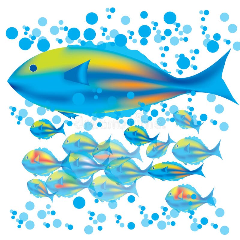 Mother fish & babies stock vector. Illustration of bowl - 9828383