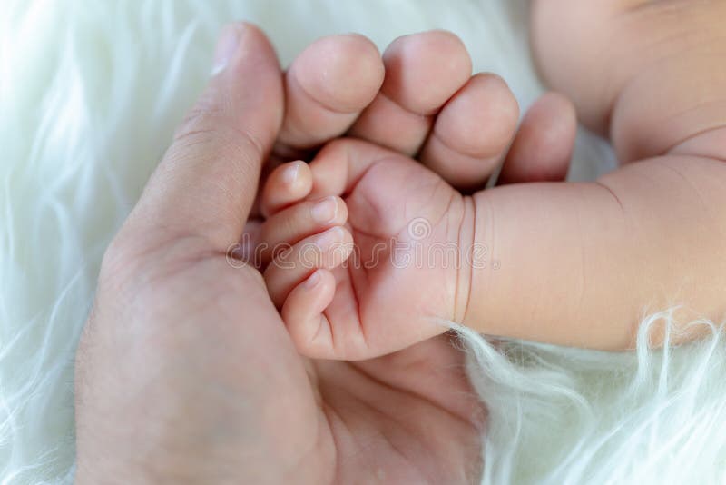 Mother Hand and Newborn Hand Stock Photo - Image of foot, baby: 202810408