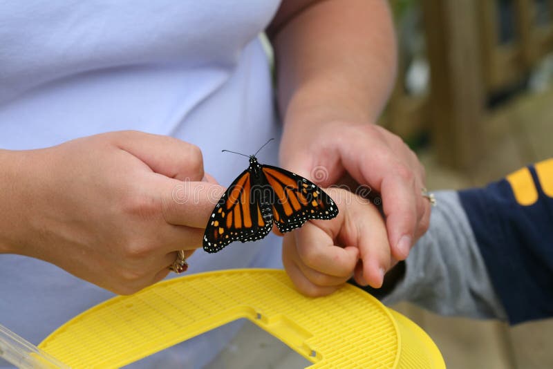 Mother Helping Put a Butterfly on Child Stock Photo - Image of study ...