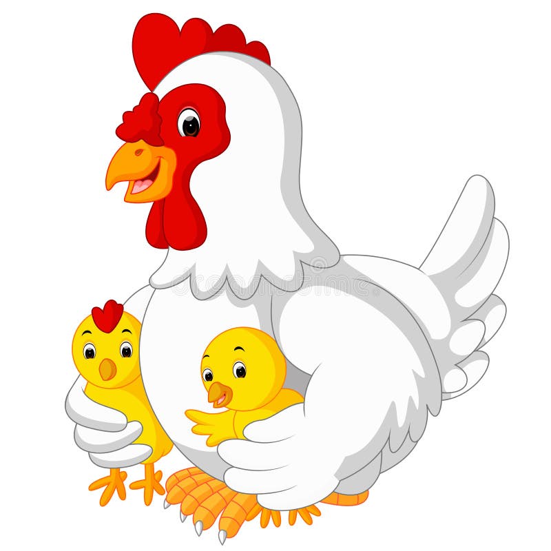 Mother Hen with Its Baby Chicks Stock Vector - Illustration of chicken ...