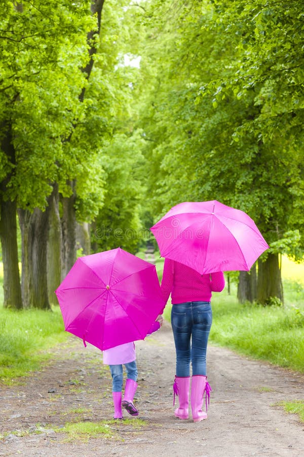 Umbrellas with Spring Flowers Stock Photo - Image of spring, brightly ...
