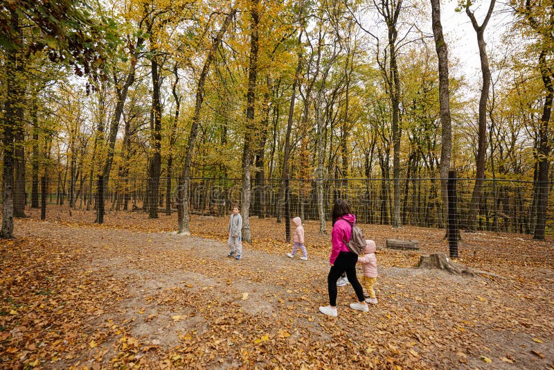 Mother with Kids on a Walk in Autumn Forest Stock Image - Image of ...