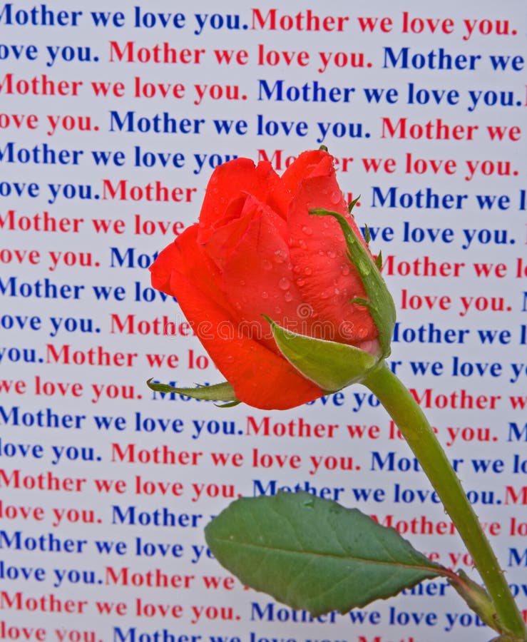 Mother we Love You Message with Rose. Stock Image - Image of petals ...