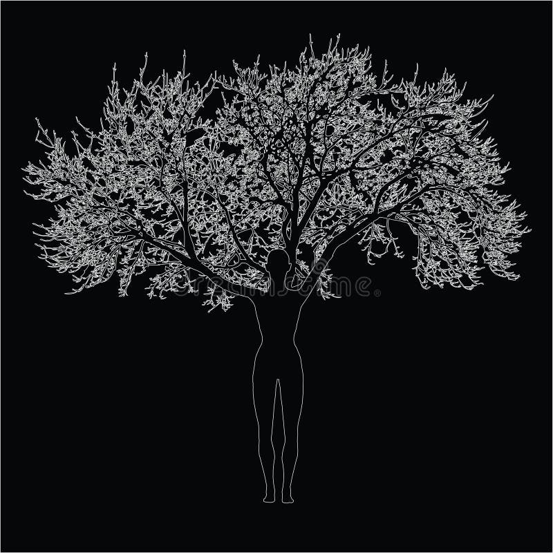 Tree Woman Stock Illustrations – 96,044 Tree Woman Stock Illustrations ...