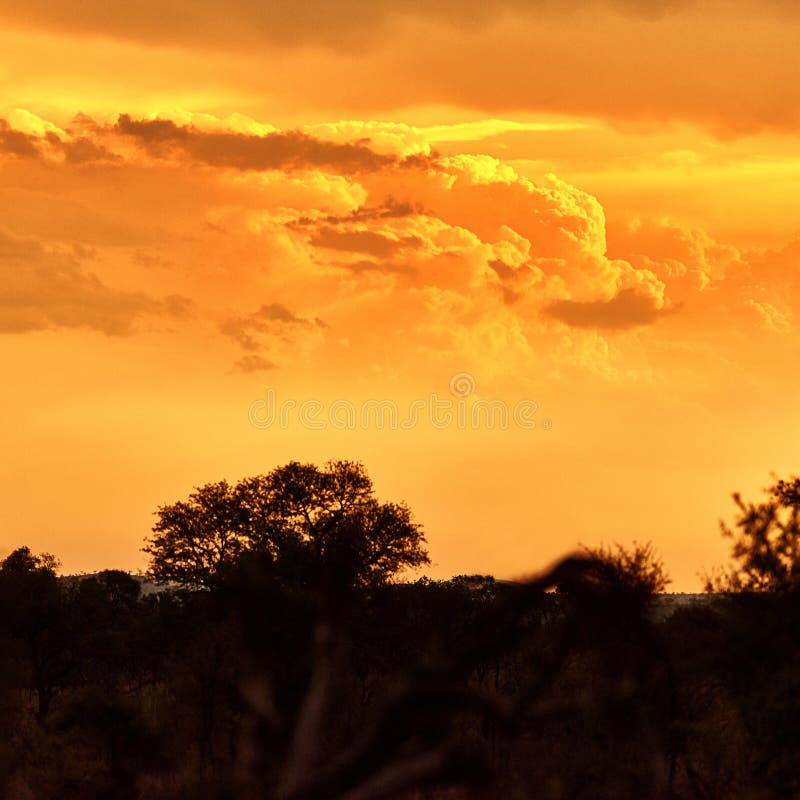 Mother Nature is Beautiful at Sunset. the African Bush at Sunset. Stock ...