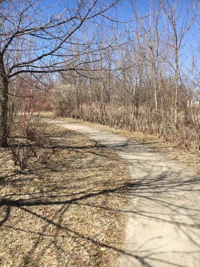 Curved path stock photo. Image of nature, calling, mother - 115179050