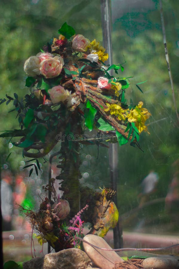 Mother nature skeleton stock photo. Image of skeleton - 119595288