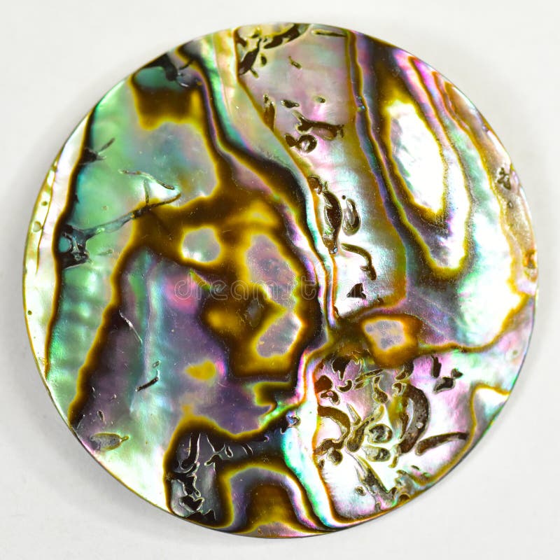 Mother of pearl shells stock image. Image of office - 112220539