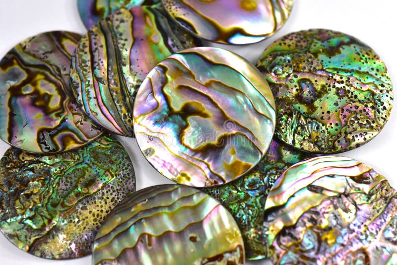 Mother of pearl shells stock photo. Image of ocean, decoration - 112220712