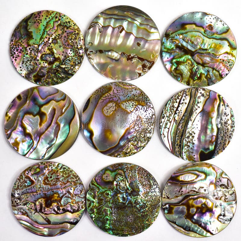 Mother of pearl shells stock image. Image of office - 112220619