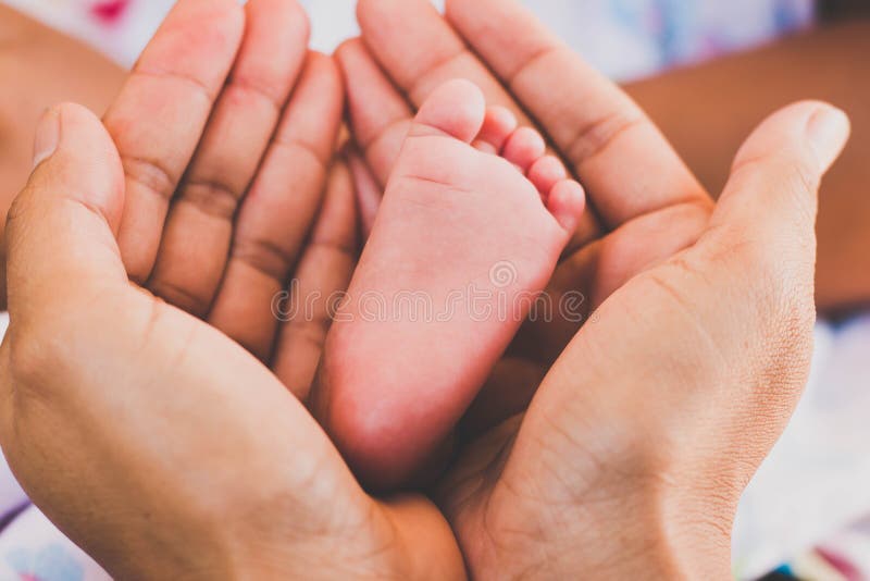 Baby`s toe stock image. Image of daughter, shape, parent - 100089095