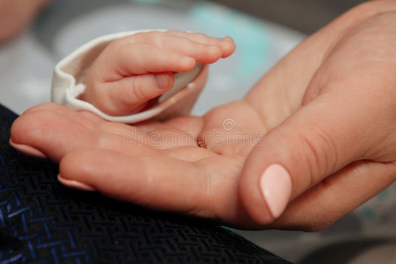 The Mother`s Hand Holds the Child`s Hand Stock Image - Image of child ...