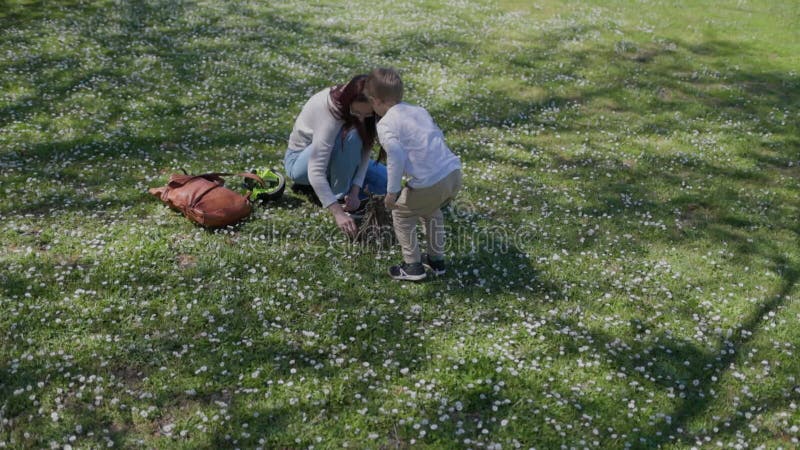 Mother and Son Picking Flowers in a Meadow Stock Video - Video of ...