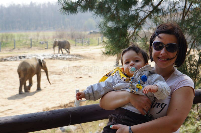 Mother son zoo stock image. Image of elephants, mother - 54360075