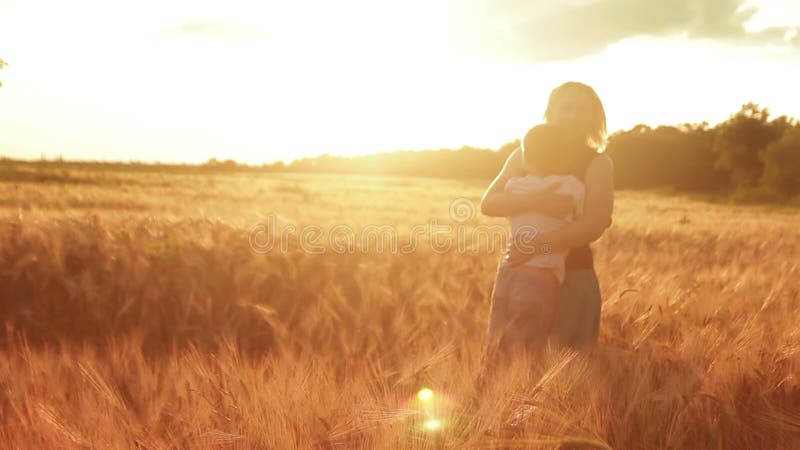 Mother Twirling Her Son in a Wheat Field. on the Sunset Stock Video ...