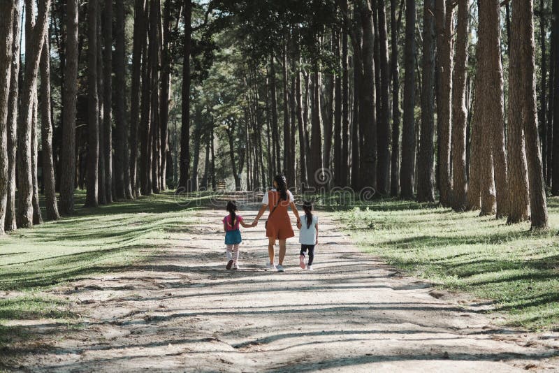 Mother and Two Daughters Holding Hands and Take a Walk in the Pine ...