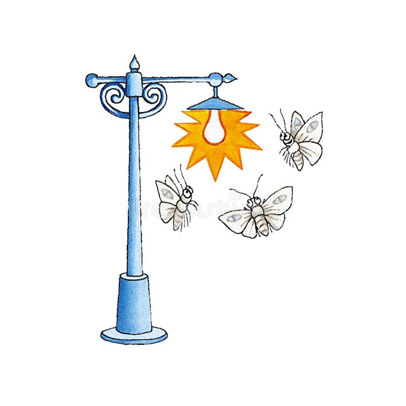 Moths stock illustration. Illustration of nature, street - 18251169