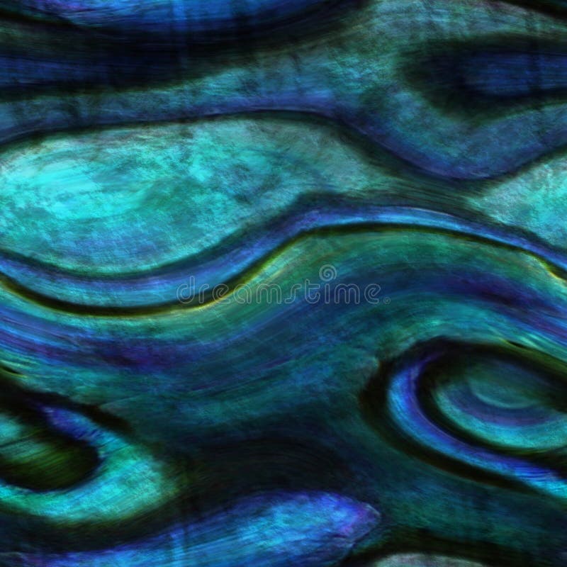 Abalone Shell Stock Illustrations – 401 Abalone Shell Stock ...