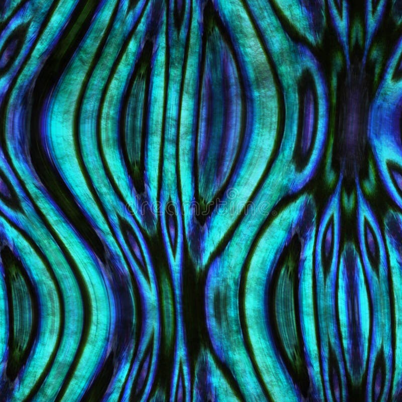 Abalone Shell Stock Illustrations – 387 Abalone Shell Stock ...