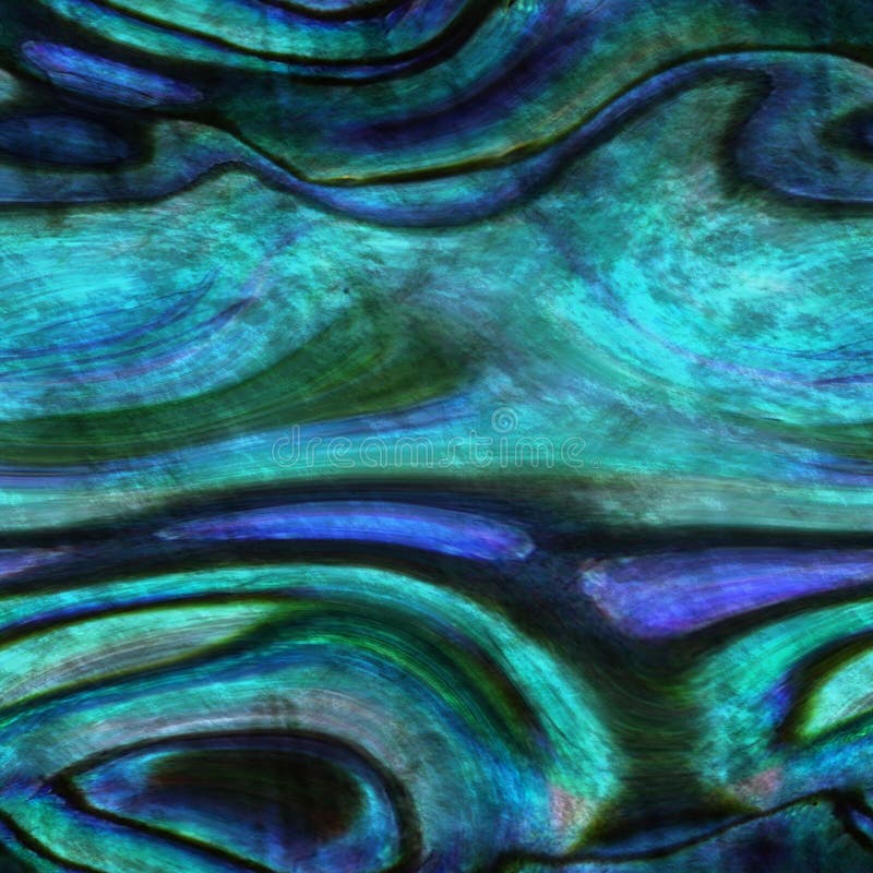 Abalone Shell Stock Illustrations – 401 Abalone Shell Stock ...