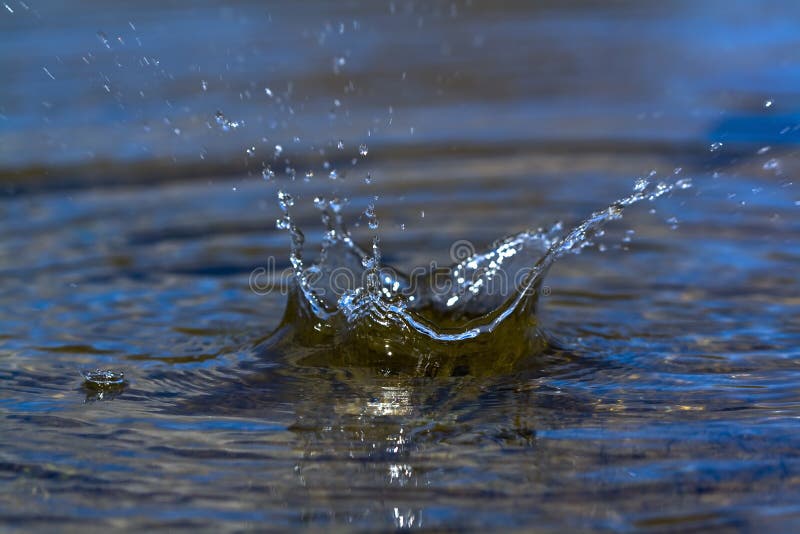 Motion stock image. Image of macro, spray, nature, splash - 18309725