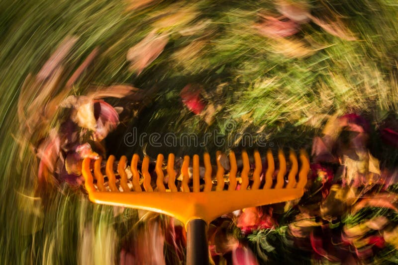 Motion Blur on Green Lawn Rake Leaves Stock Image - Image of color ...
