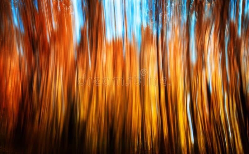 Motion Blur of Trees in an Autumn Forest Stock Image - Image of fall ...