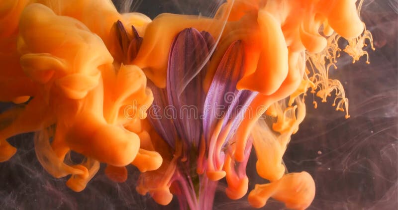 Motion Color Drop in Water,Ink Swirling in ,Colorful Ink Abstraction ...