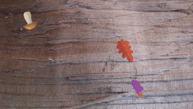Motion Graphics with Autumn Elements Design on the Wood Texture Screen ...