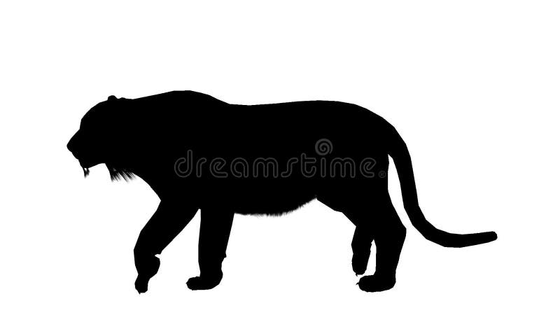 Black Silhouette of a Moving Lion. Alpha Channel. Alpha Matte. FullHD ...