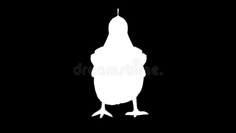 Silhouette of Chicken. Alpha Channel. Alpha Matte. FullHD. Stock Video ...