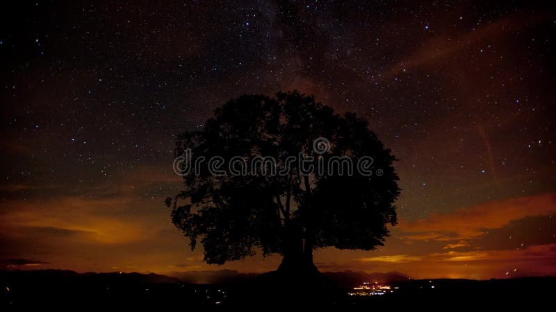 Motion of Milky Way, Clouds and Stars Behind Single Tree Stock Video ...