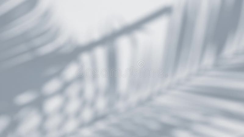 Shadow Palm Leaf in the Wind Blowing Overlay on White Stock Video ...