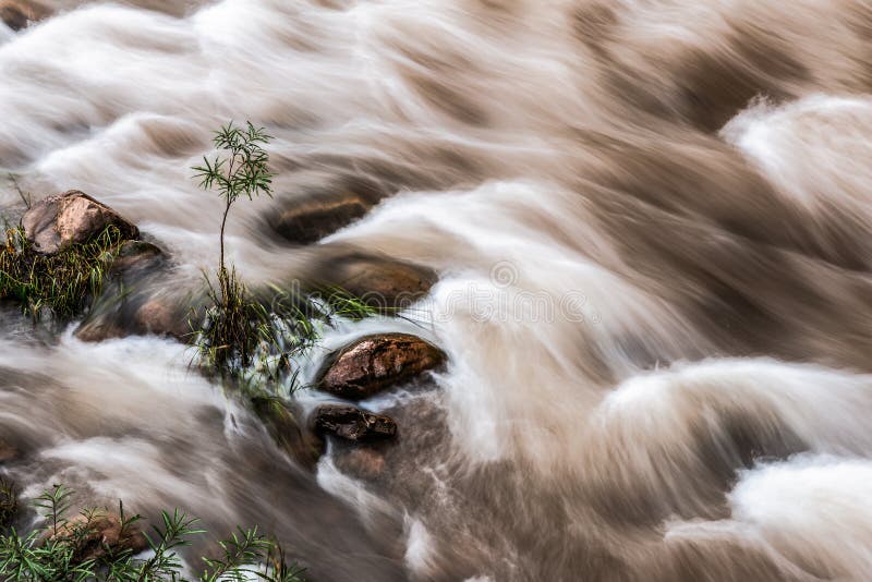 Motion stream of mud river stock photo. Image of aqua - 124000272