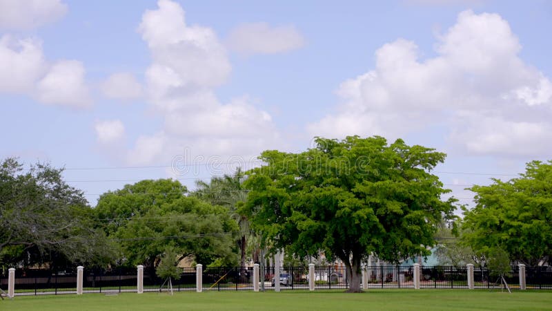 Motion Video Park with Trees. View of Residential Homes in Background ...