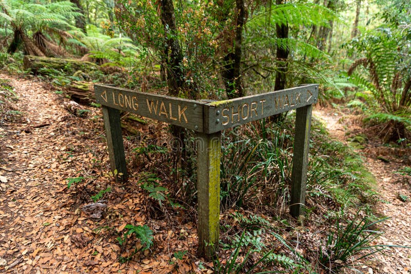 Motivation Sign `long Walk and Short Walk` in the Forest Stock ...