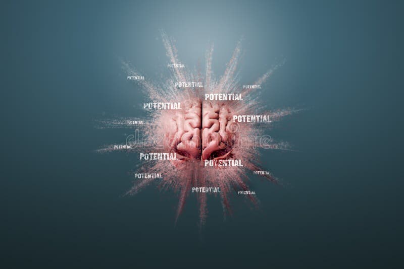 Potential is in your brain stock illustration. Illustration of concept ...