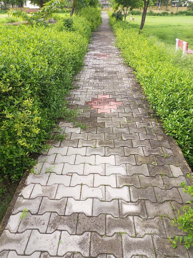 Motivational Path Garden Trees Plant Park Self Help Inspirational ...