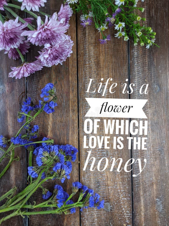 Motivational Quote about Life with Flowers Stock Image - Image of blue ...