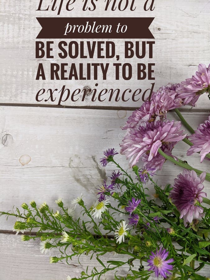 Motivational Quote about Life with Flowers Stock Image - Image of pink ...